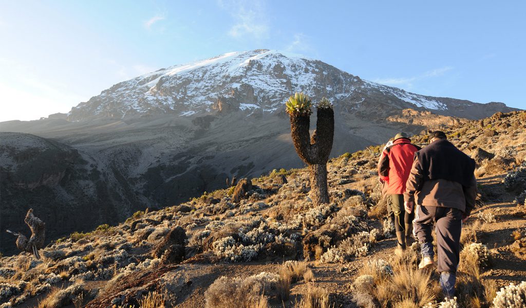 6 DAYS RONGAI – African Rhino Adventure